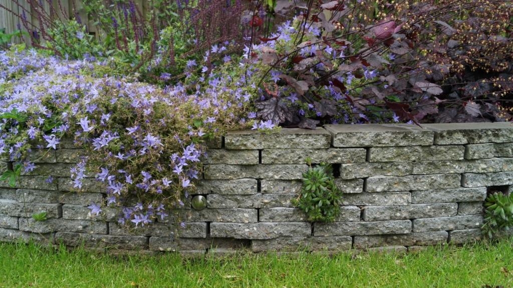 Voorbeeld van verhoogd border met gesneden betontegels. http://www ...